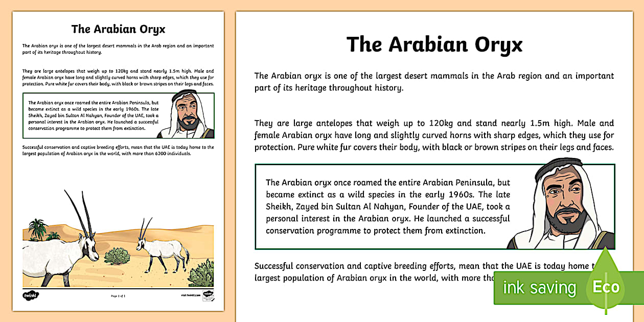 Arabian Oryx Fact File - Twinkl