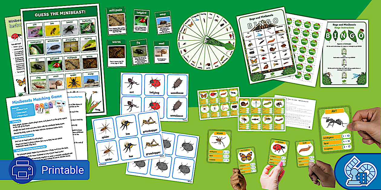 KS1 Minibeast Games Pack for Summer Activities - Twinkl