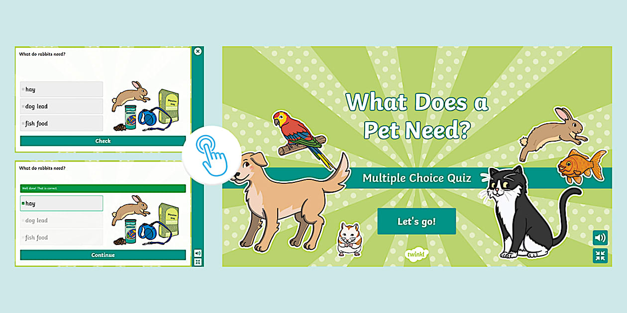 What Does a Pet Need? Interactive Quiz (teacher made)