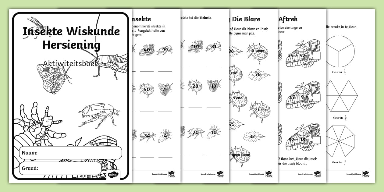 Insekte Wiskunde Hersiening Aktiwiteitsboek (teacher made)