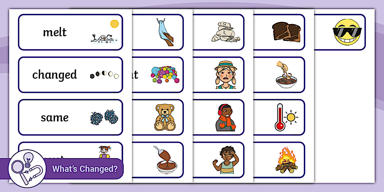 EYFS Science Vocabulary Cards: What's Changed? - Twinkl