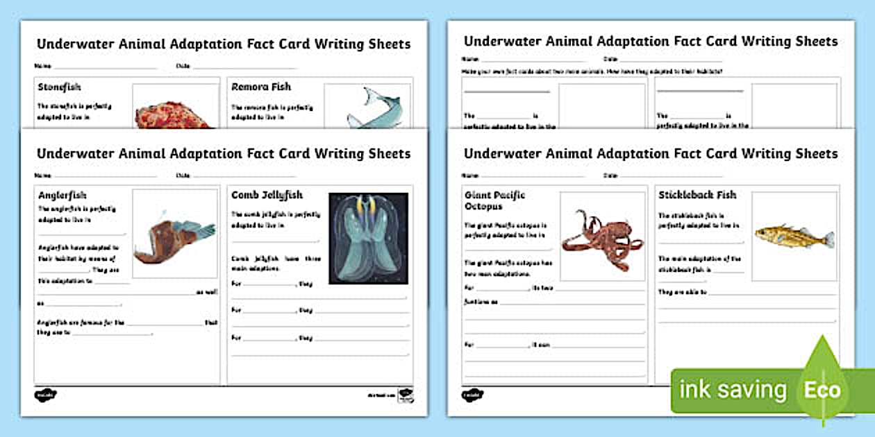 KS2 Underwater Animal Adaptation Fact Writing Sheets