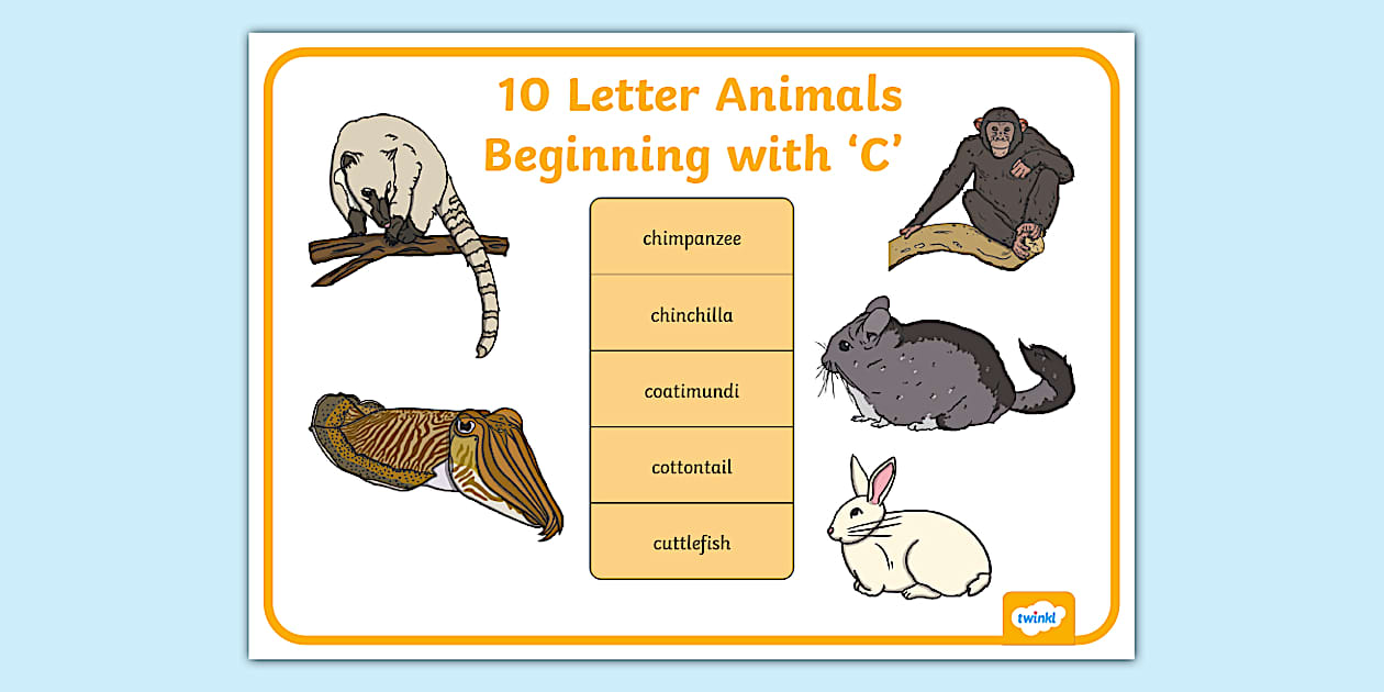 10 Letter Animals Beginning with 'C' Display Poster