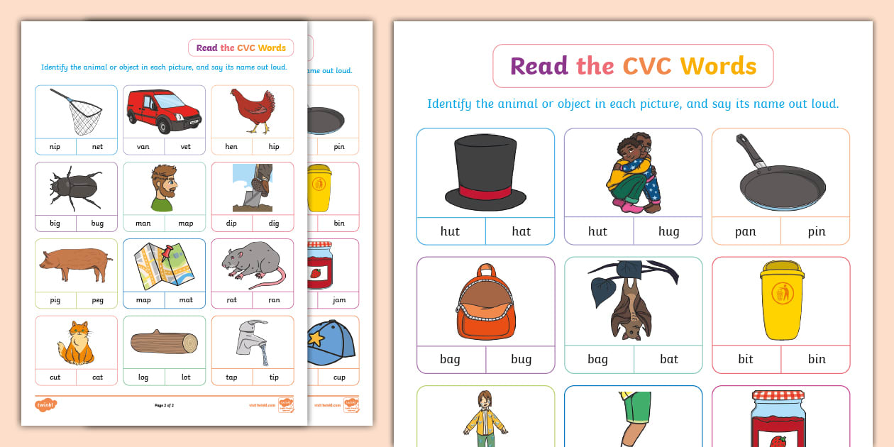 Read the CVC Words Activity (teacher made) - Twinkl