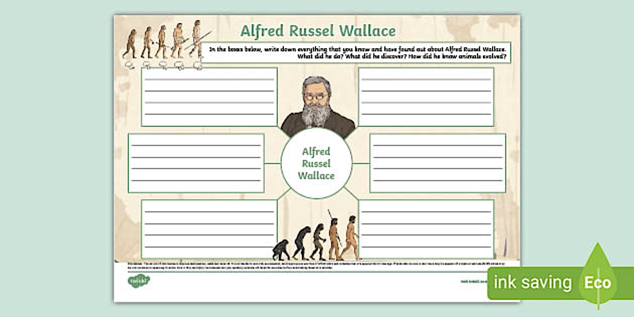Alfred Wallace Mind Map (teacher made) - Twinkl