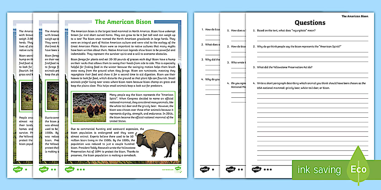 American Bison Information Sheets and Questions