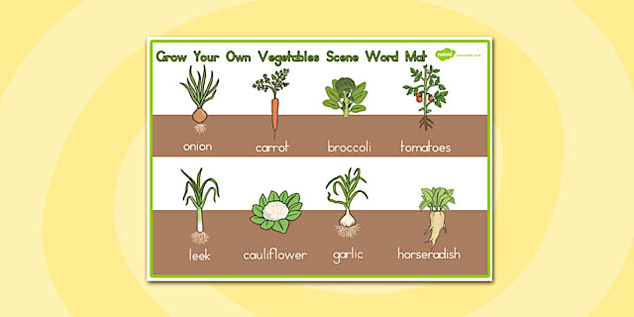 Cursive Grow Your Own Vegetables Scene Word Mat - Twinkl