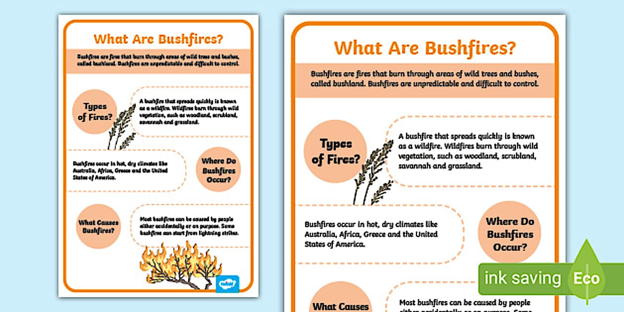 What are Bushfires? Information Poster (teacher made)