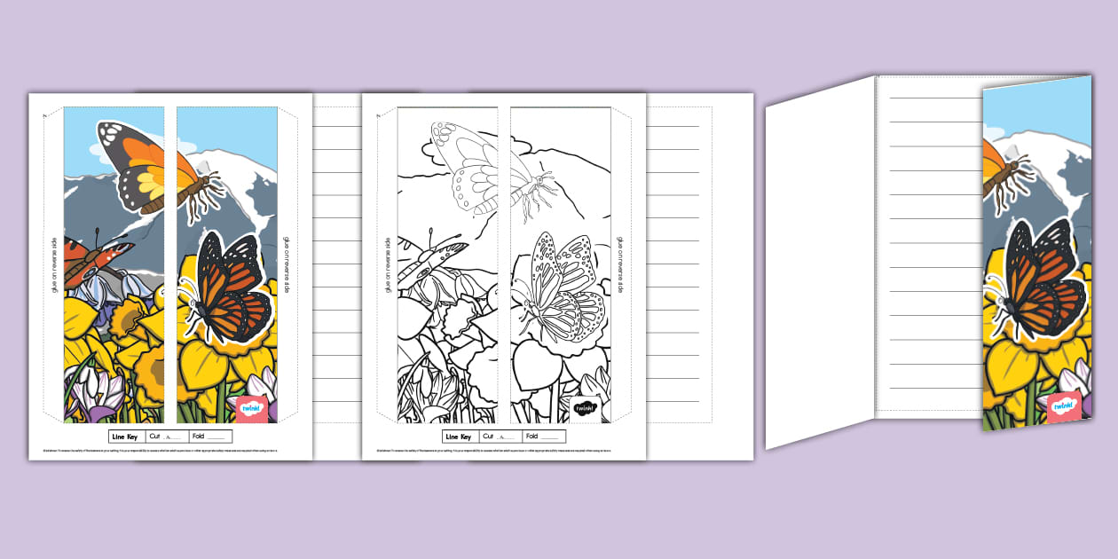 Butterfly Folding Writing Template (teacher made) - Twinkl
