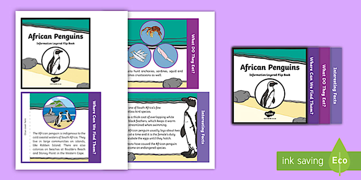 African Penguin Information Layered Flip Booklet - Twinkl