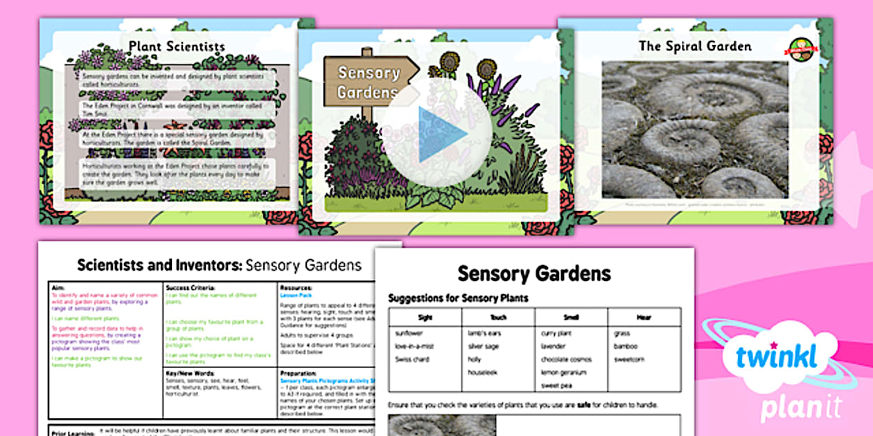 Sensory Garden Plants Lesson Pack - Primary Resources