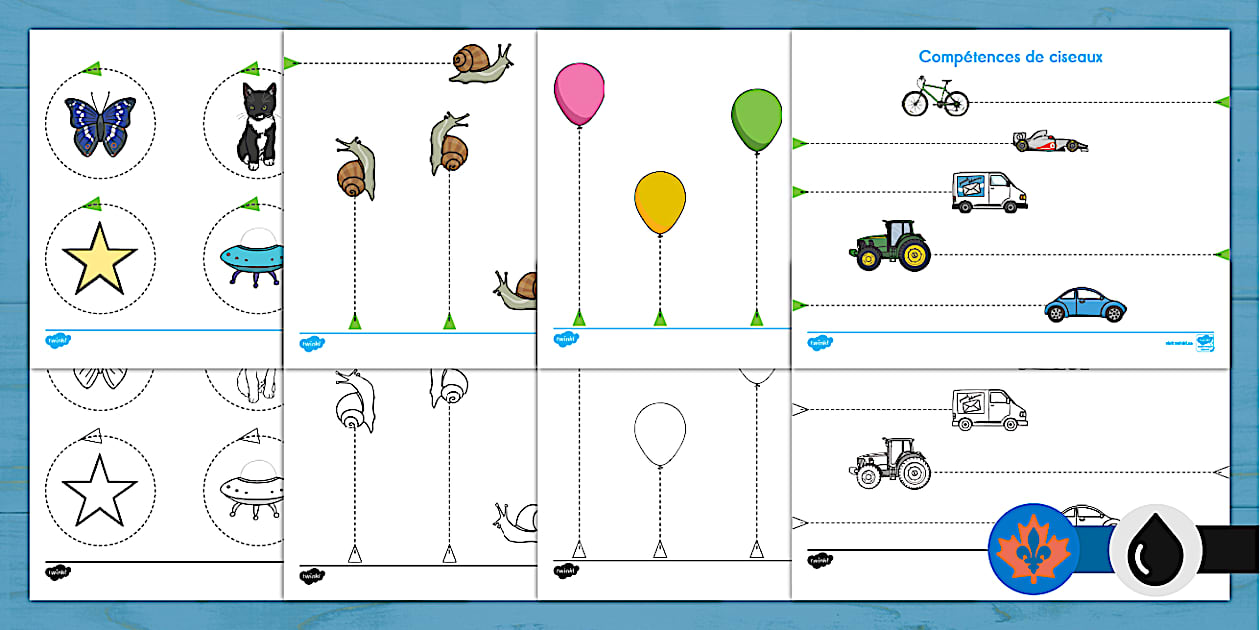 Scissor Cutting Skills Activity French - Twinkl