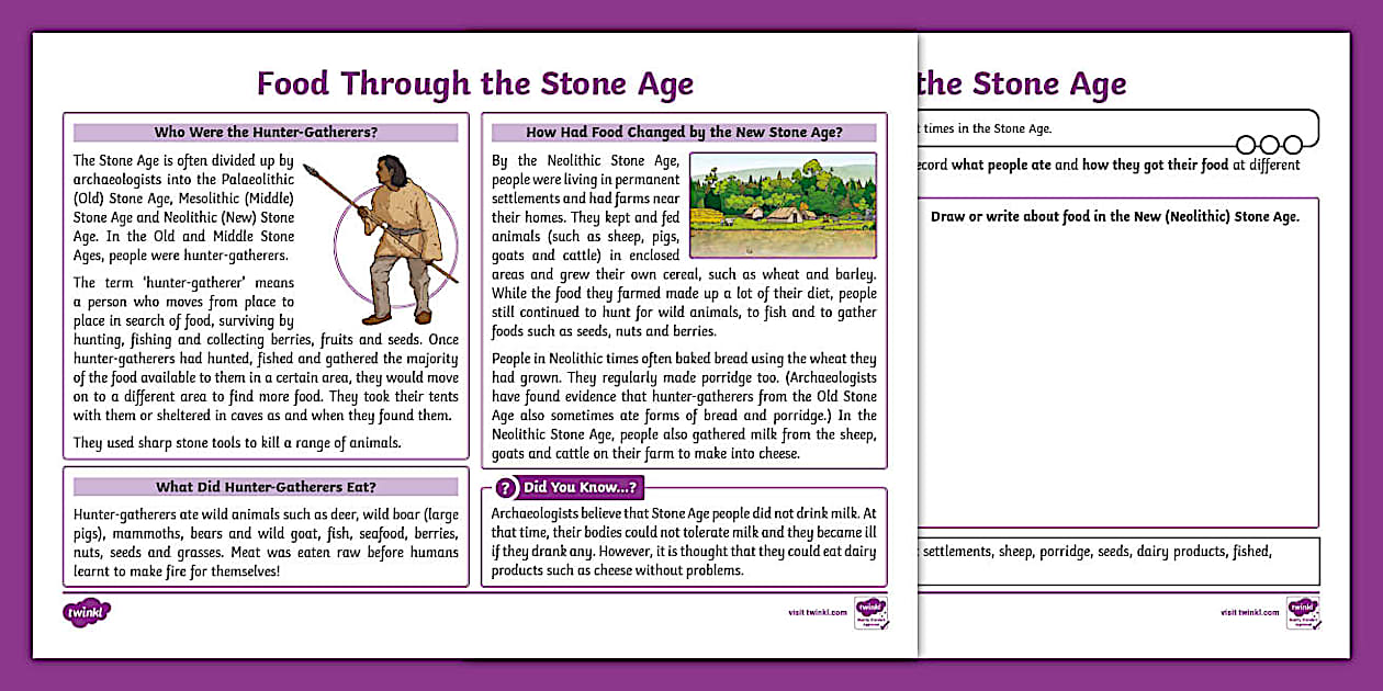 KS2 Stone Age Food Fact File and Activity Sheet - Twinkl