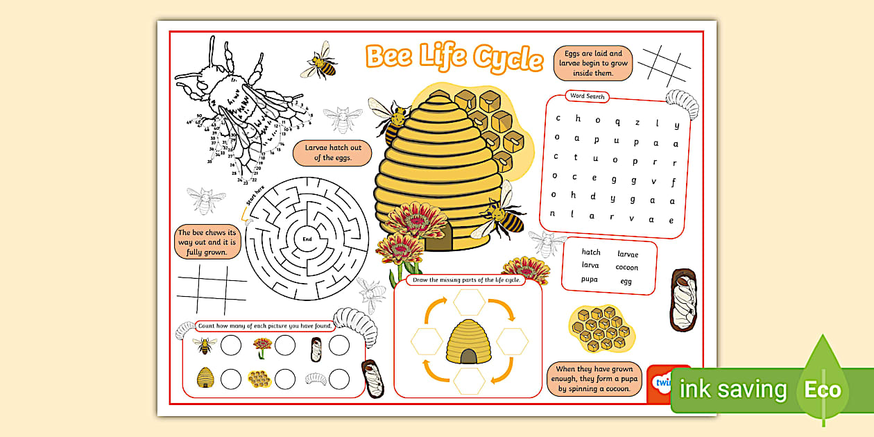 Bee Life Cycle Activity Mat (teacher made) - Twinkl