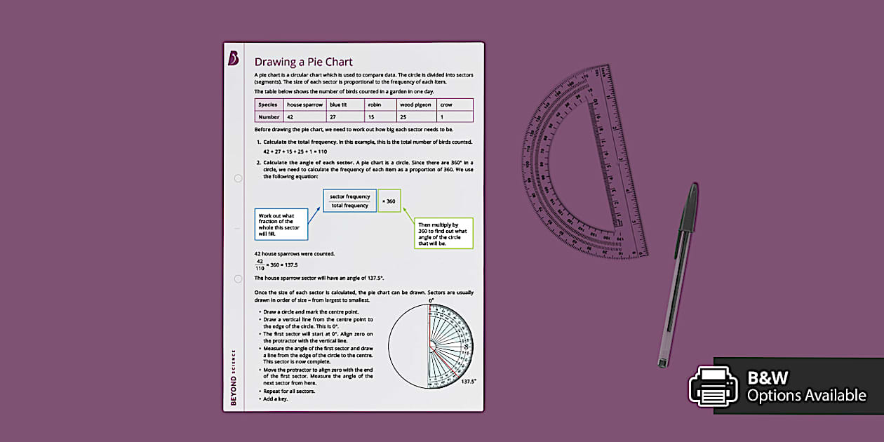 Drawing a Pie Chart Guide (Teacher-Made) - Twinkl