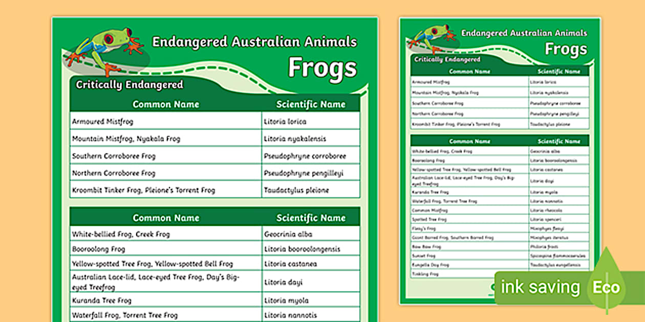 Endangered Australian Frogs Display Poster - Twinkl