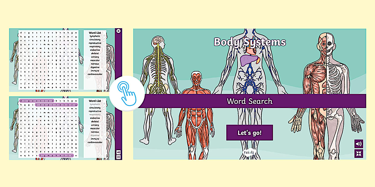 Body Systems Interactive Word Search (Hecho por educadores)
