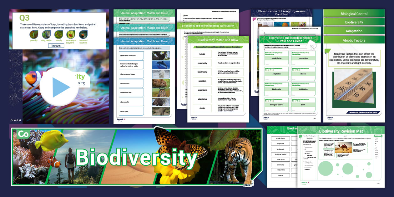 Biodiversity and Interdependence: Resource Pack - Twinkl