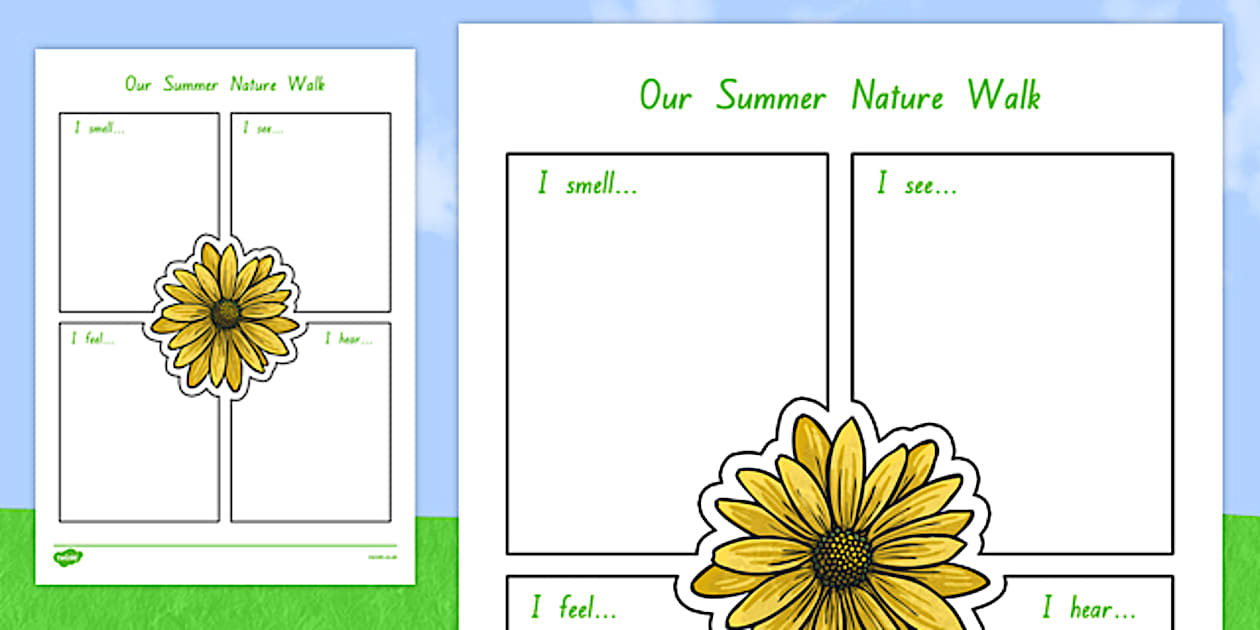 Our Summer Nature Walk Writing Frame (teacher made) - Twinkl