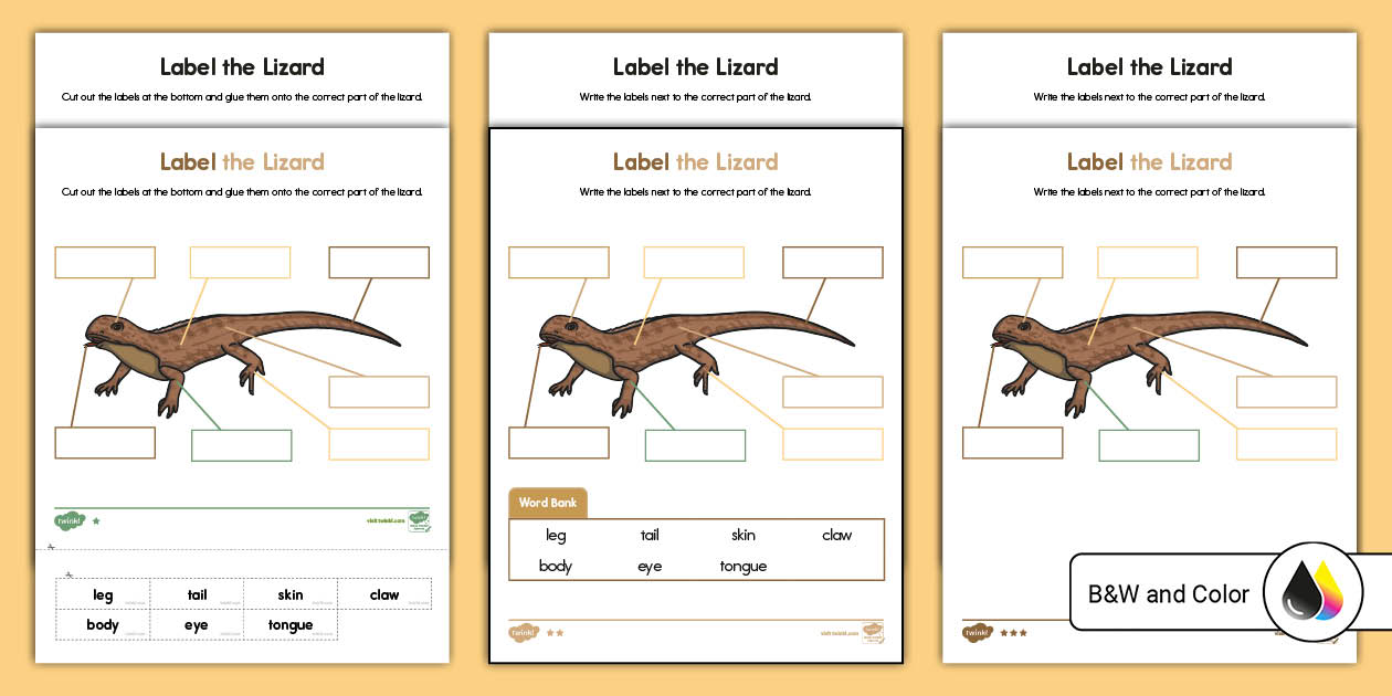 Label the Lizard Differentiated Worksheet for K-2nd Grade