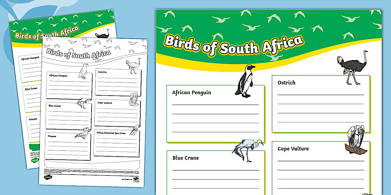 Birds of South Africa Fact File Template (teacher made)