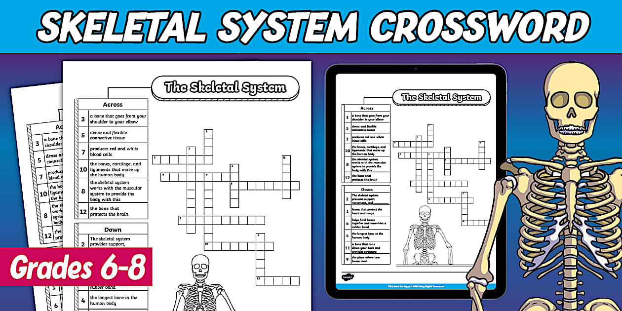 The Skeletal System Crossword for 6th-8th Grade - Twinkl