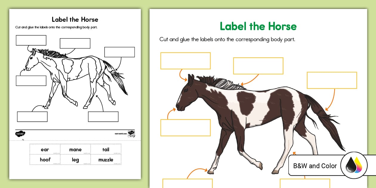 Early Childhood Label the Horse Cut and Paste Worksheet