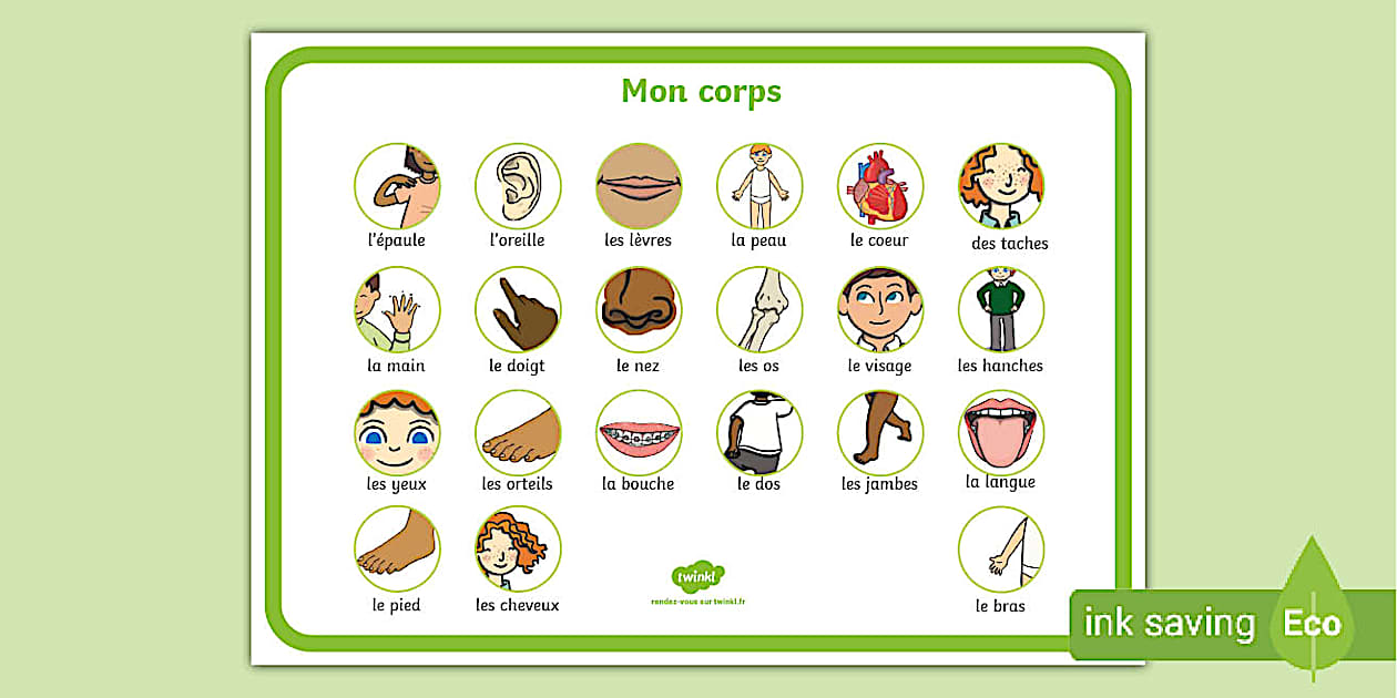 Sous-main : Le lexique des parties du corps - Twinkl