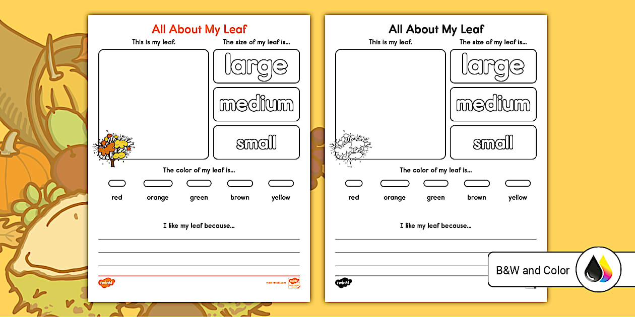 All About My Leaf Activity (teacher made) - Twinkl