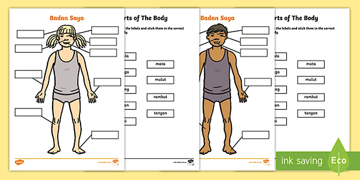 TAS My Body Cut and Paste Activity Indonesian - Twinkl