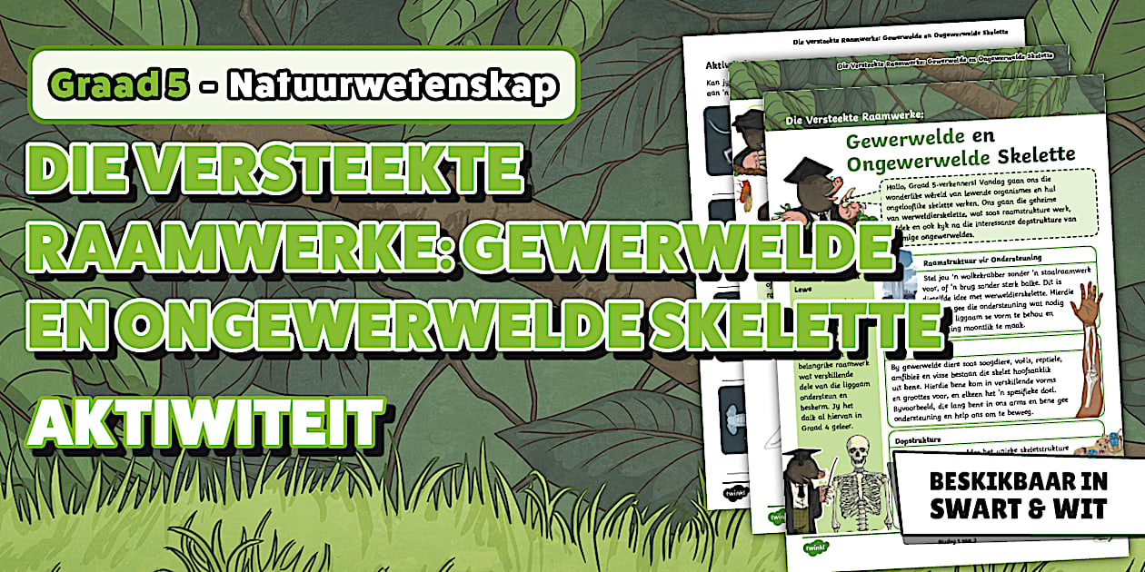 Gewerwelde en Ongewerwelde Skelette – Aktiwiteit