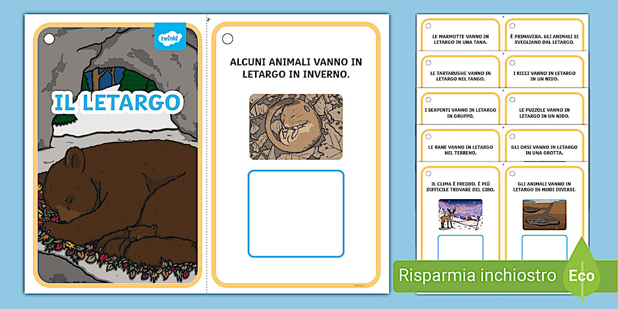 Il letargo Lettura e comprensione BES (teacher made)