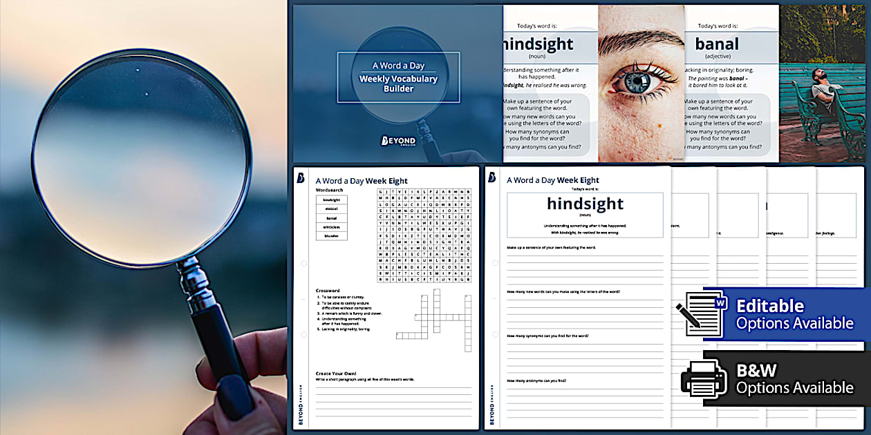 Word of The Day Vocabulary Building Exercises (8) | Beyond