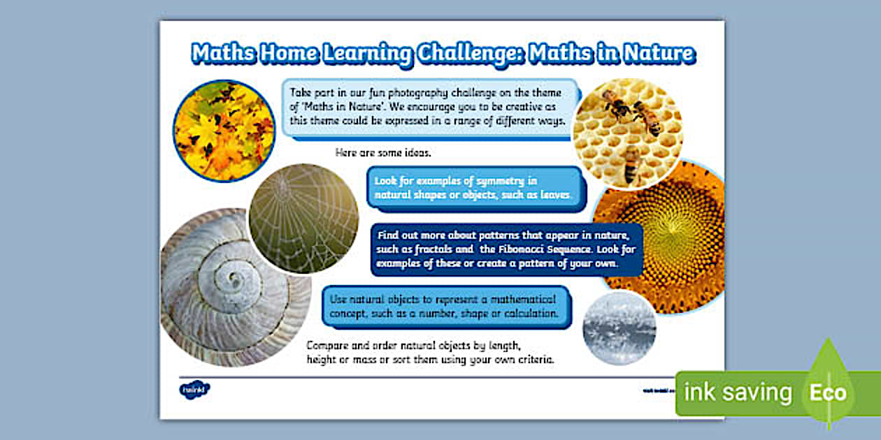 👉 Maths Home Learning Challenge: Maths in Nature - Twinkl