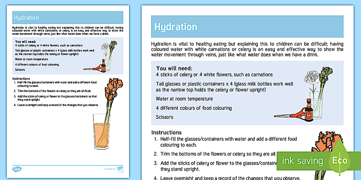 Hydration Science Investigation - Years 0-2 - Twinkl NZ