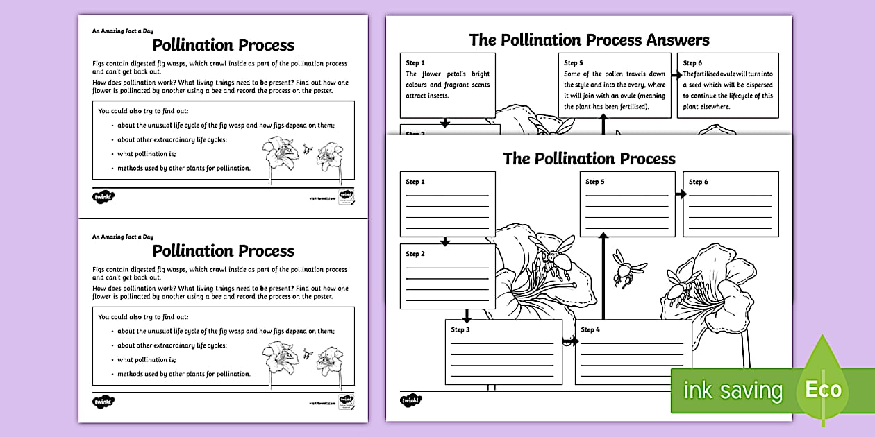 Pollination in Plants Worksheet - Primary Resource - Twinkl
