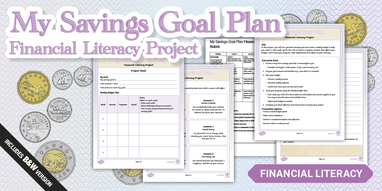Finance Project: My Savings Goal Plan