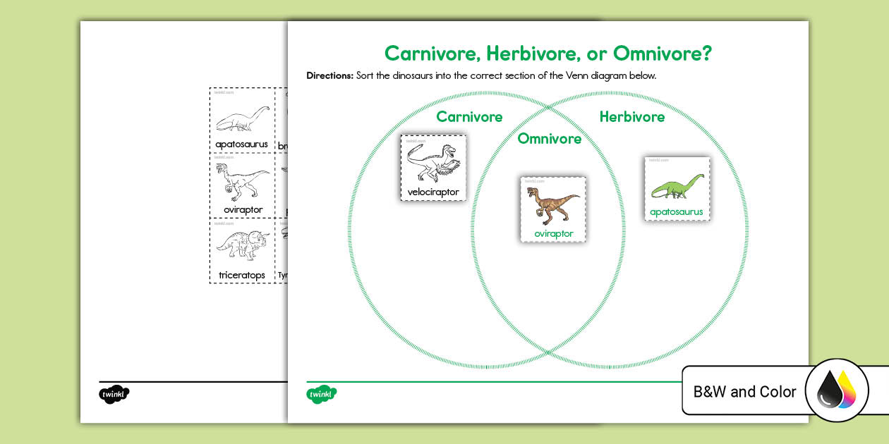 Dinosaurs: Omnivore, Carnivore, or Herbivore Sorting