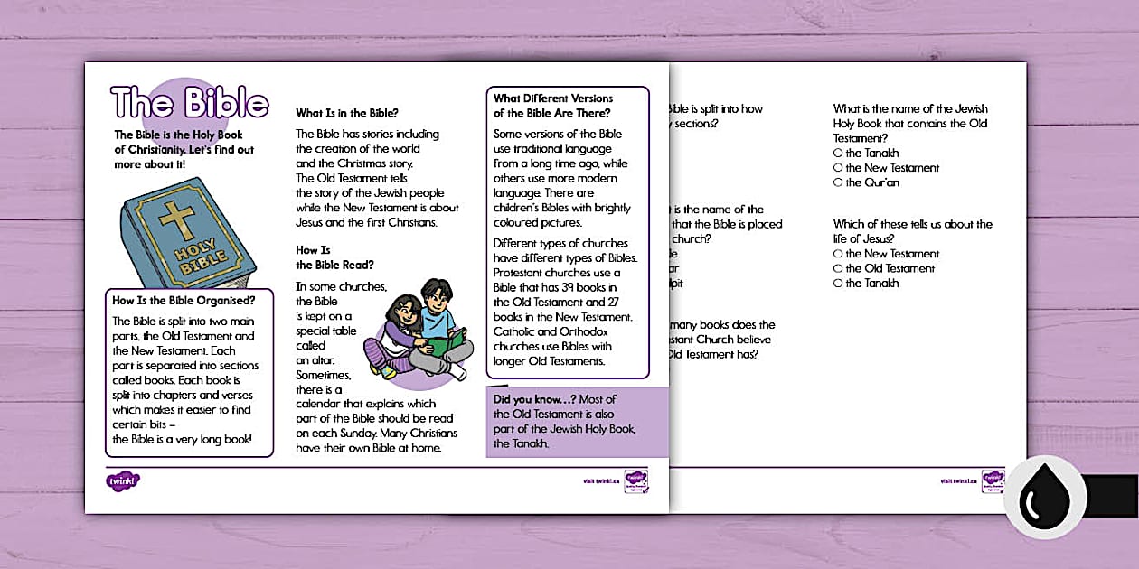 The Bible Fact File (teacher made) - Twinkl