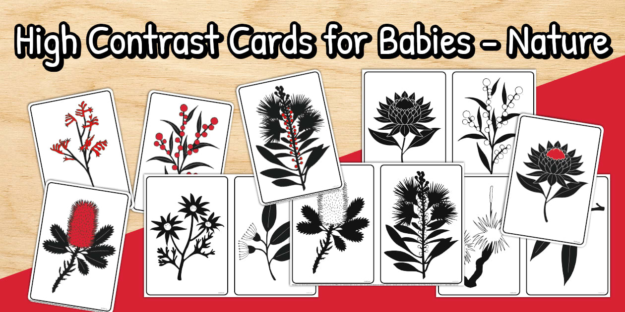 High Contrast Cards for Babies - Nature