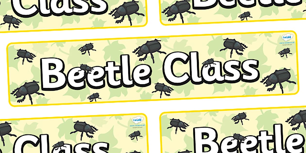 Beetle Themed Classroom Display Banner - Twinkl