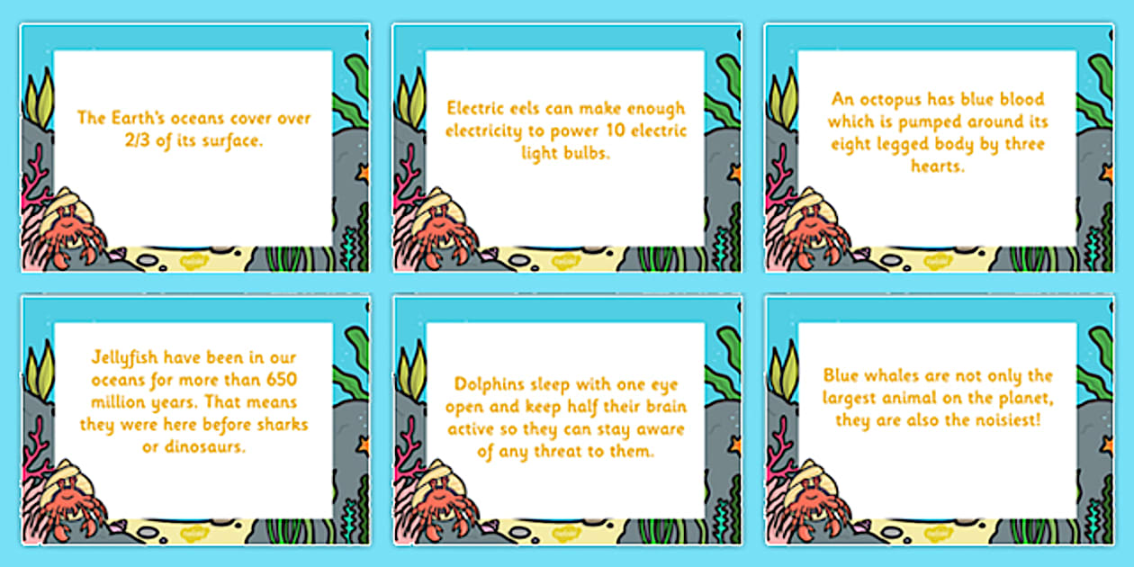 Cursive Under the Sea Display Fact Cards (teacher made)
