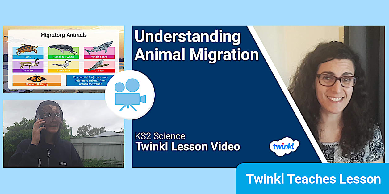 KS2 (Ages 7-11) Animal Migration Video Lesson