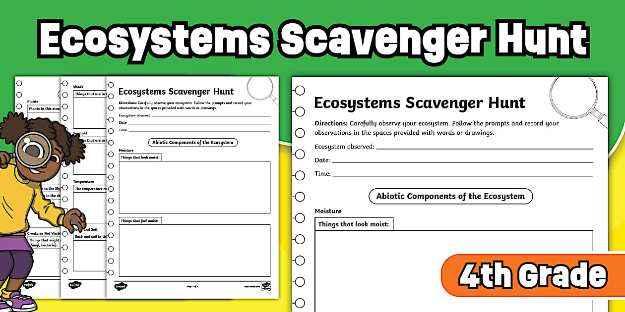 Fourth Grade Ecosystems Scavenger Hunt