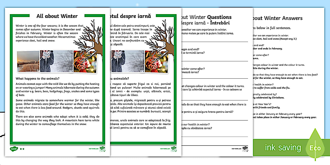 Winter Differentiated Reading Comprehension Activity English/Romanian