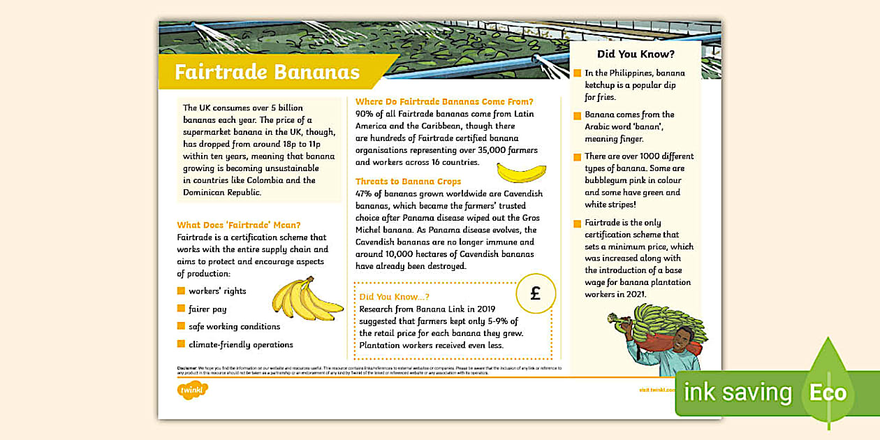Bananas Fairtrade Facts File |Twinkl - Geography KS2