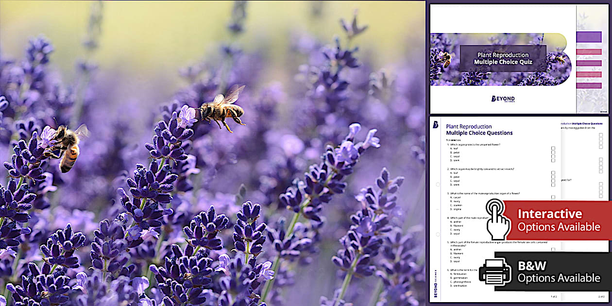 Plant Reproduction MCQ Bundle | KS3 Biology | Beyond