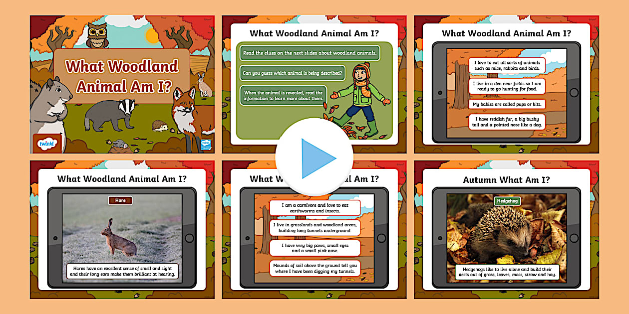 Animals and Their Habitats - What Woodland Animal Am I? PPT