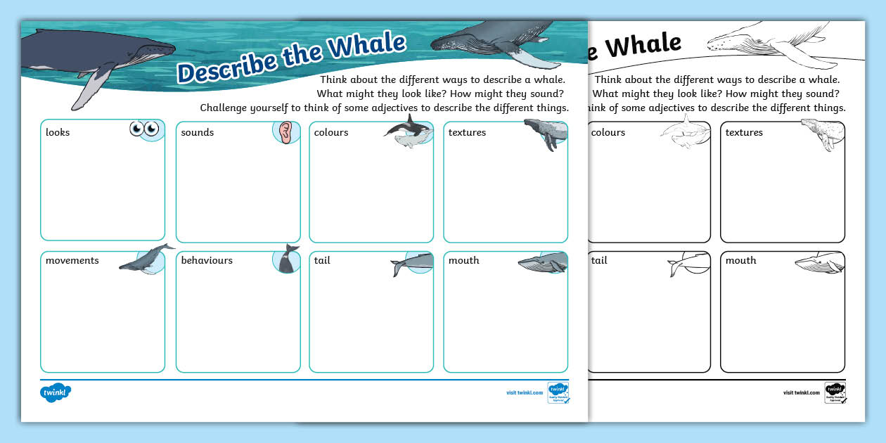 Whale Adjectives Worksheet - Twinkl English (teacher made)