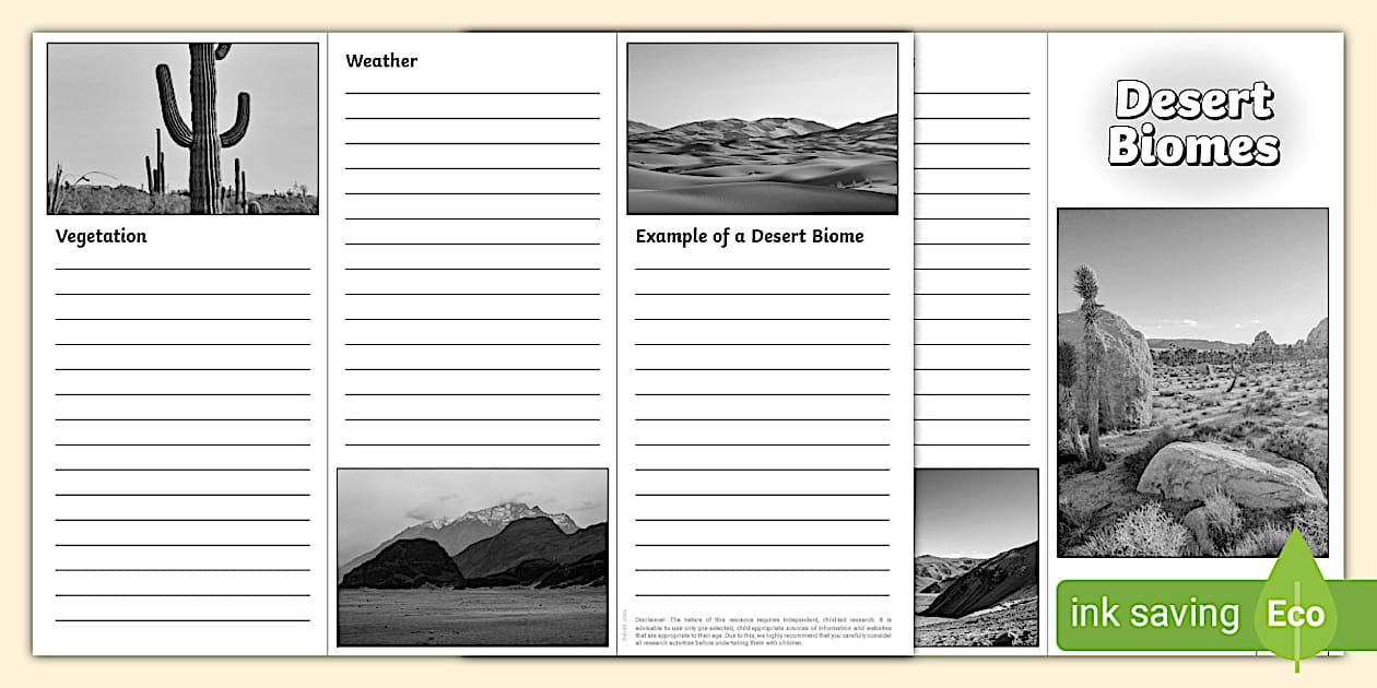 Desert Biome Leaflet (teacher made) - Twinkl